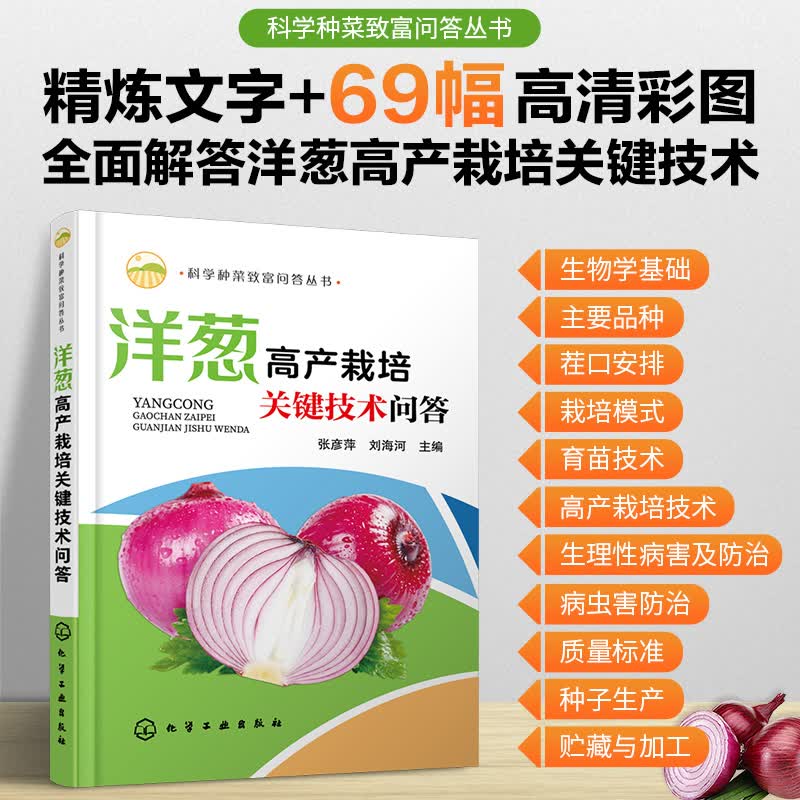 洋葱高产栽培关键技术问答