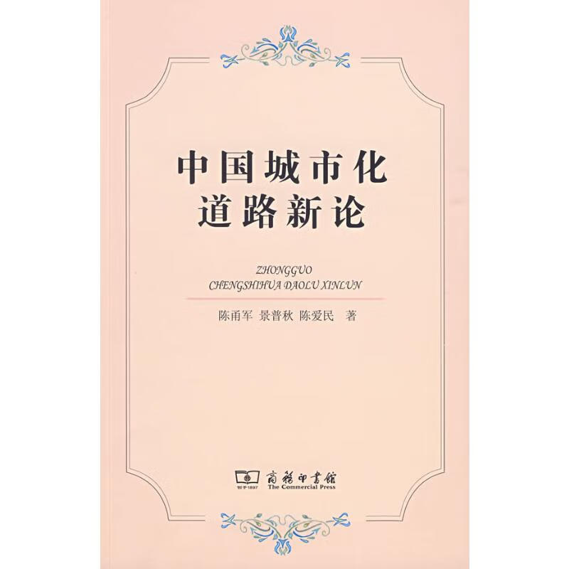 中国城市化道路新论