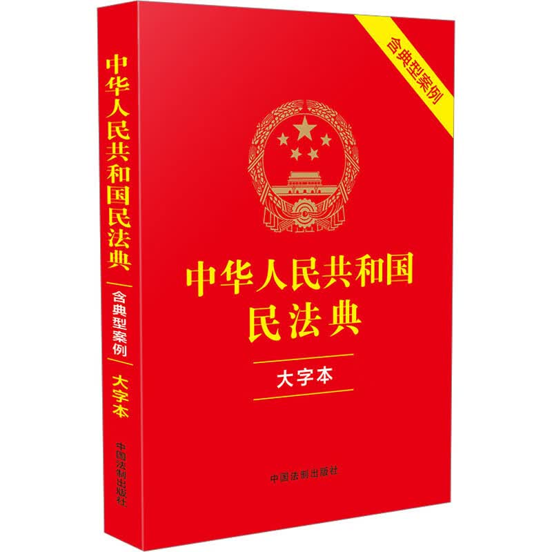 中华人民共和国民法典 含典型案例 大字本 图书