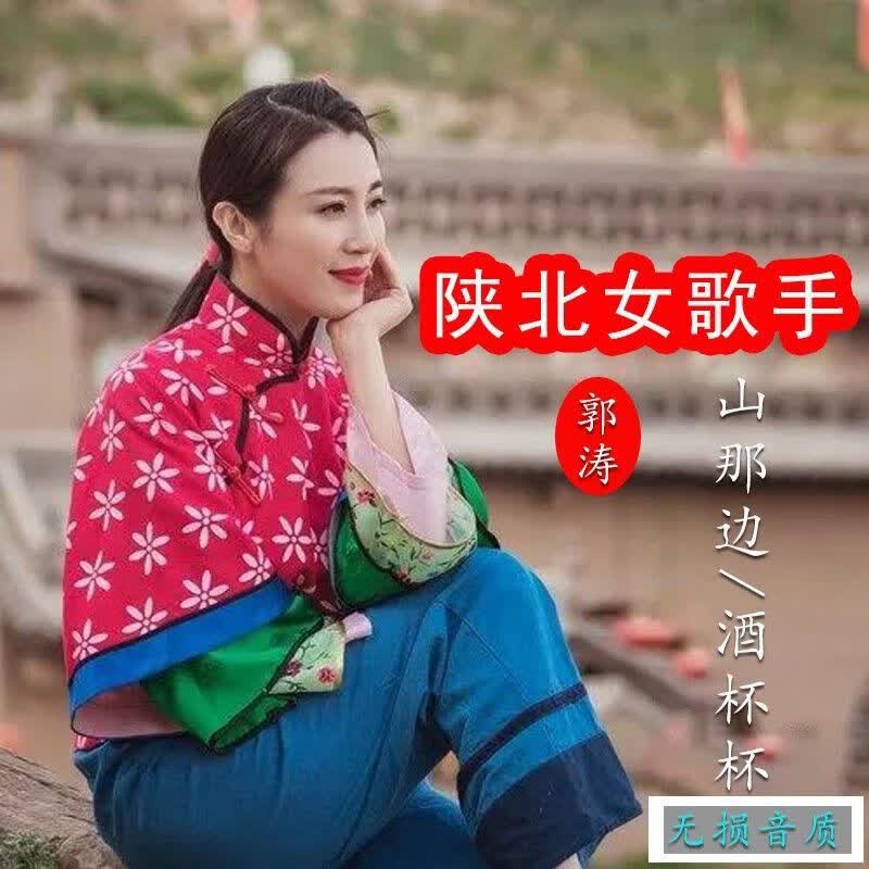 民歌郭涛【女】陕北民歌山那边专辑U盘经典歌曲无损音质汽车载mp3 8GB