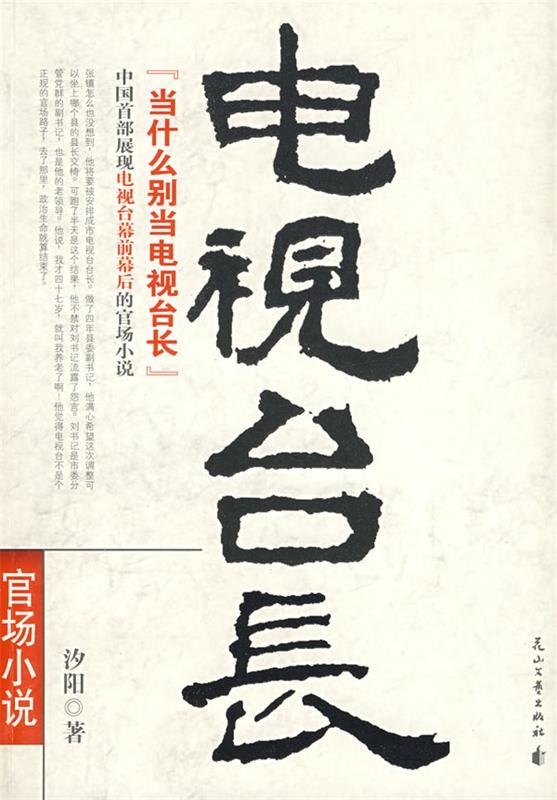 电视台长 汐阳 著【书】