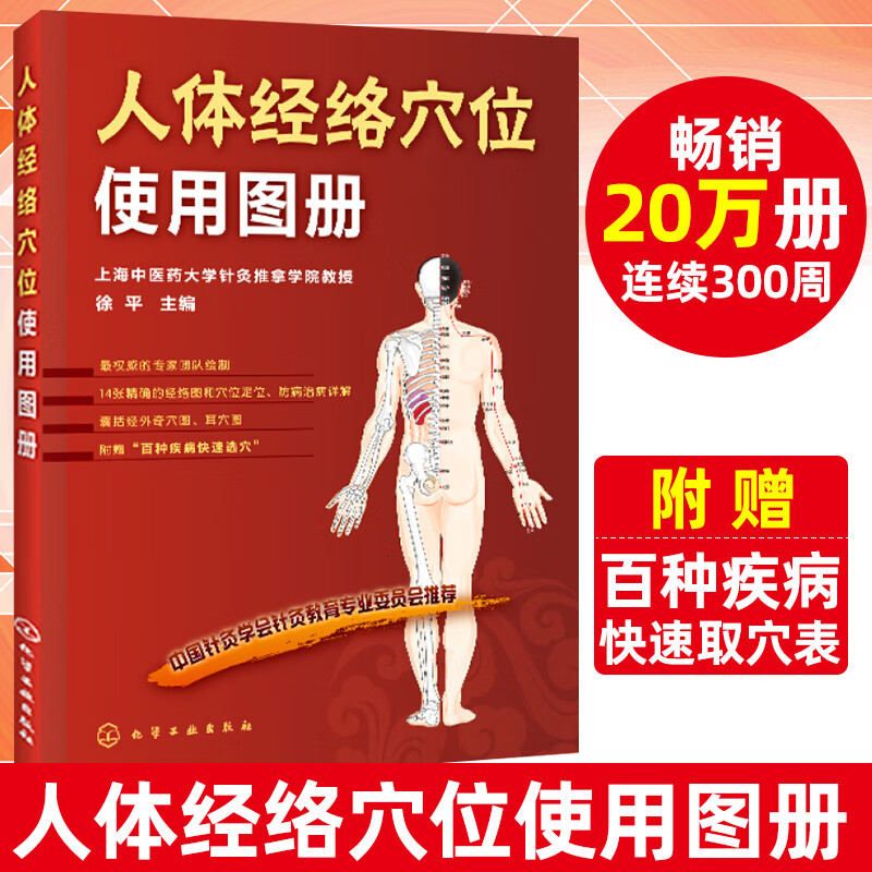 人体经络穴位使用图册 *清晰版微养生人体经络穴位基础知识大全14张经络图穴位定位防病治病 身体按摩书