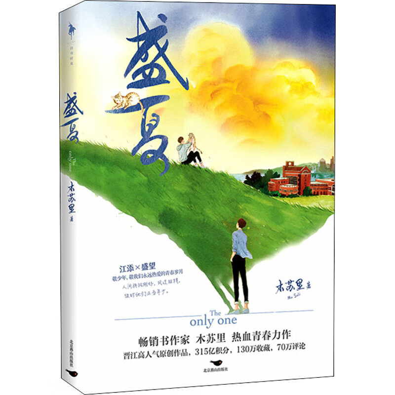 盛夏 木苏里 著 9787540264413