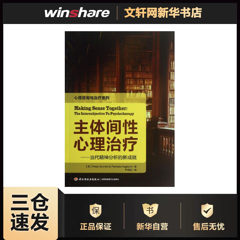 主体间性心理治疗:当代精神分析的新成就 (美)博斯克 等 尹肖雯 译 书籍