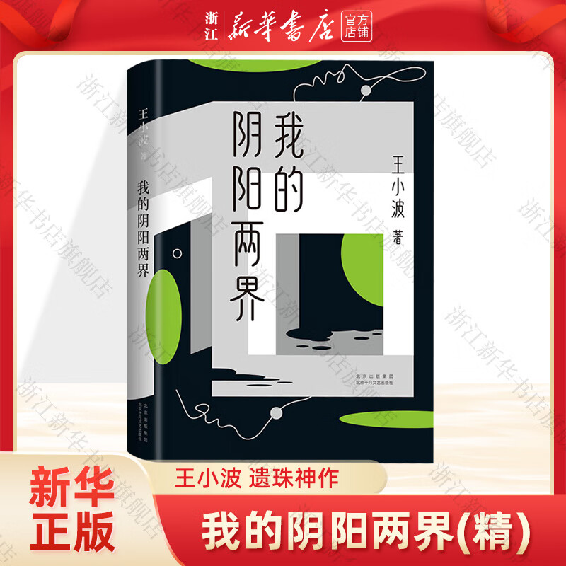我的阴阳两界 2021版 王小波 著 都市穴居爱情故事 短篇小说现当代文学小说作品