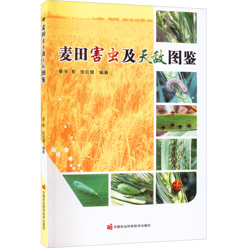麦田害虫及天敌图鉴 图书