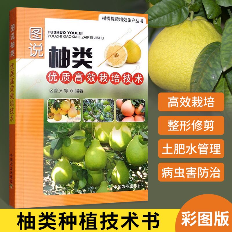 图说柚类优质高效栽培技术 柚子种植技术 柚类栽培果园规划与建园果树修剪栽培病虫害防治书 沙田柚红肉