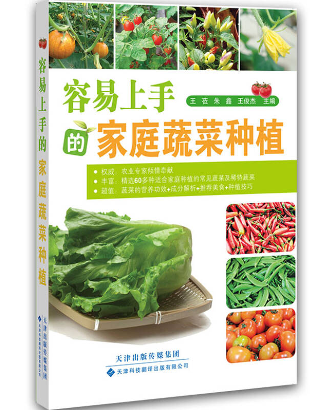 容易上手的家庭蔬菜种植