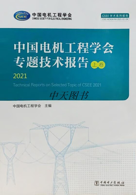 中国电机工程学会专题技术报告 2021 中国电机工程学会主编 中国电力出版社