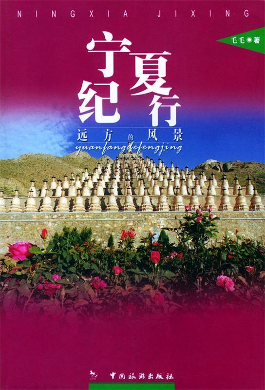 宁夏纪行 毛毛 著