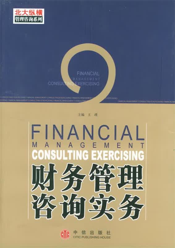 财务管理咨询实务