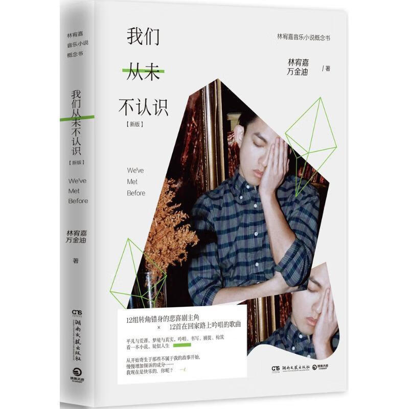 我们从未不认识:林宥嘉音乐小说概念书