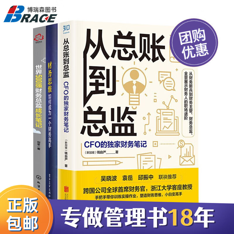 财务人职场进阶3本套：从总账到总监+如何成为一个财务高手+世界500强财务总监成长笔记 博瑞森S/企业预算书籍团购送人