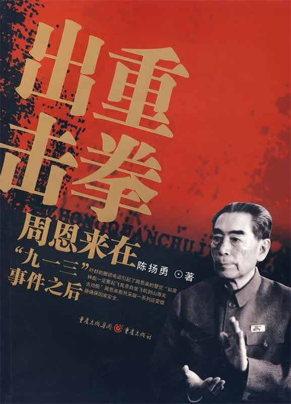 重拳出击 陈扬勇著
