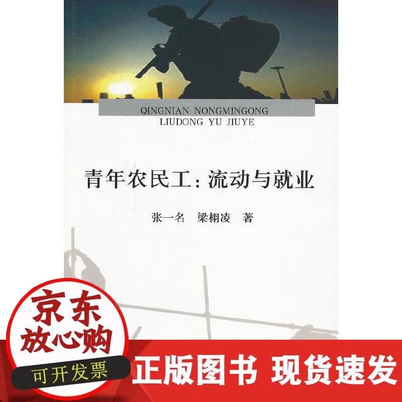 【现货】青年农民工：流动与就业