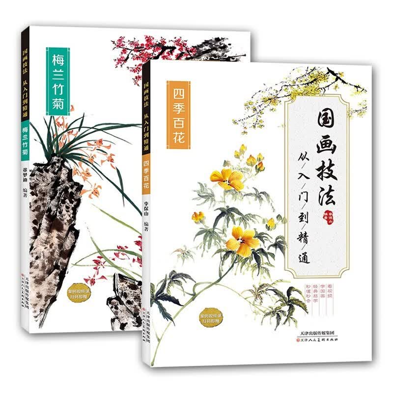 国画技法从入门到精通全套四册 梅兰竹菊花鸟鱼虫山水石林四季百花基础美术绘画少儿成人零基础教程书 四季百花+梅兰竹菊