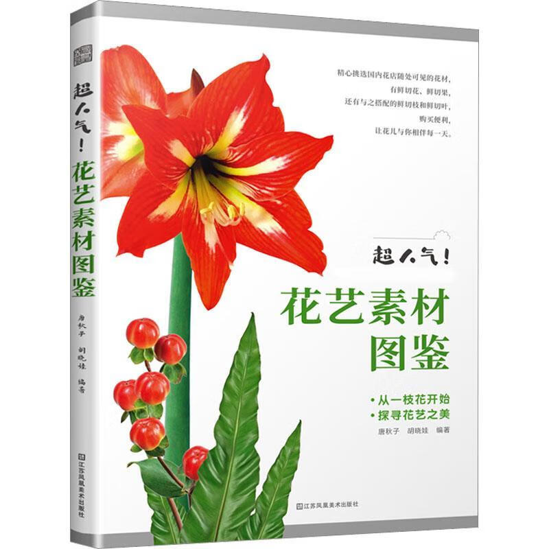 超人气!花艺素材图鉴家居 图书