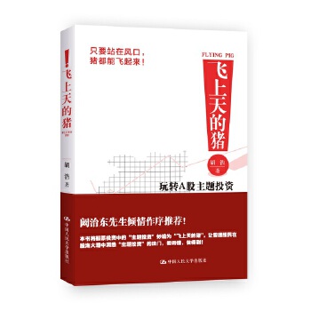 飞上天的猪-玩转A股主题投资