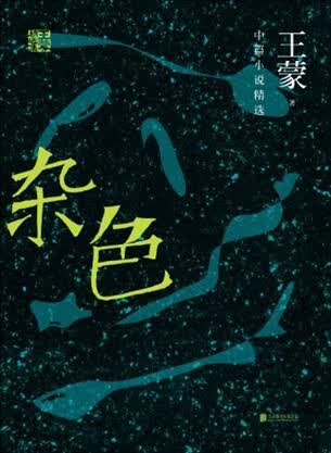 杂色 王蒙