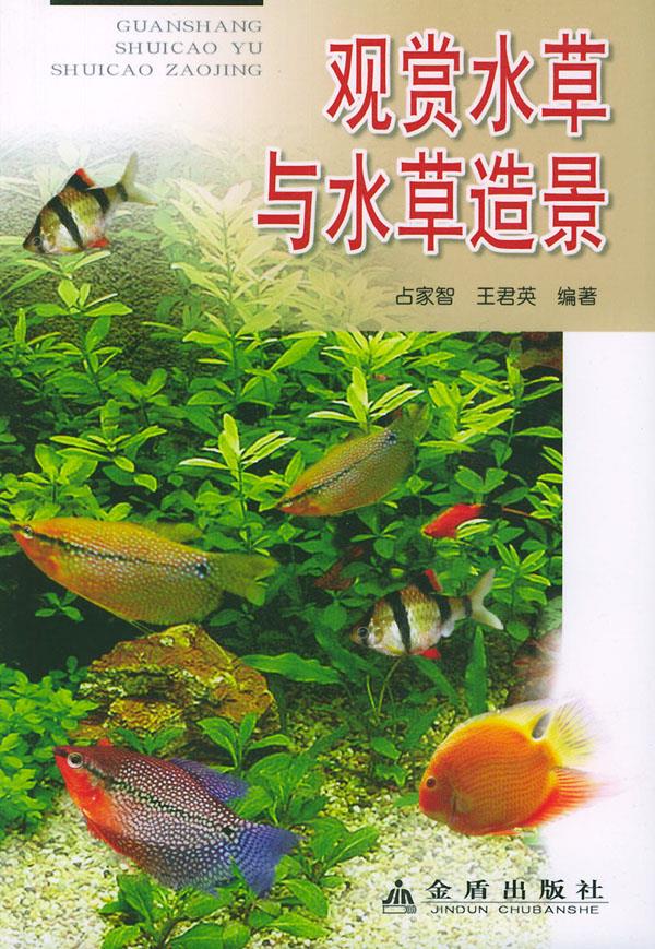 观赏水草与水草造景