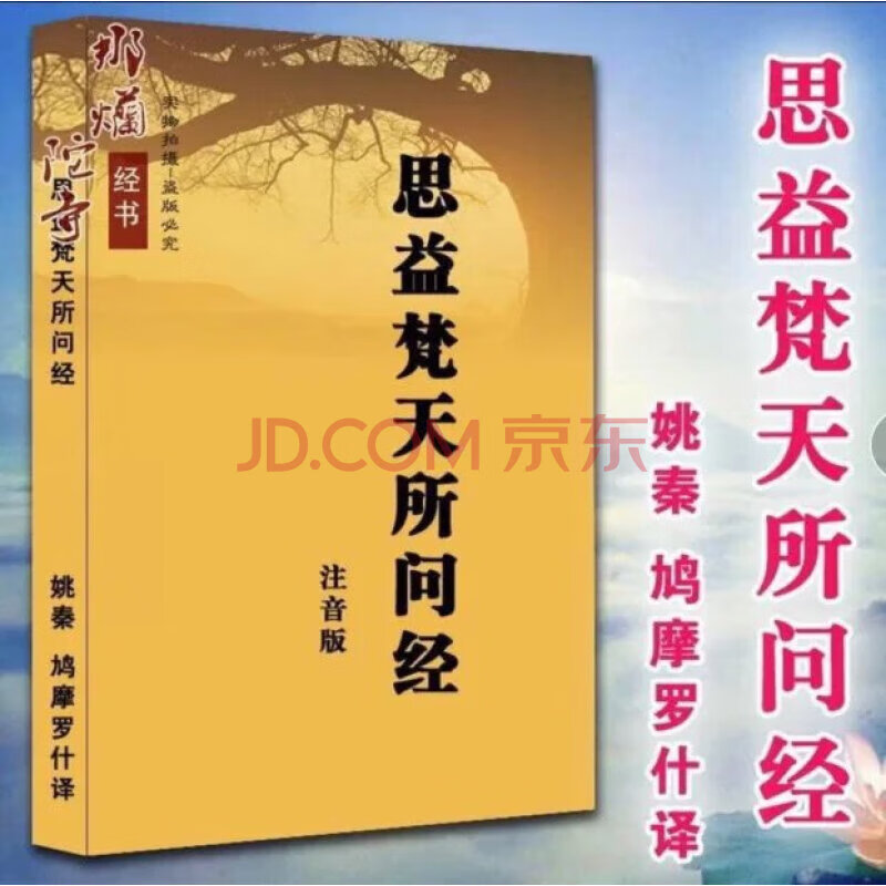 思益梵天所问经 (4卷)姚秦鸠摩罗什译 注音版彩色封面