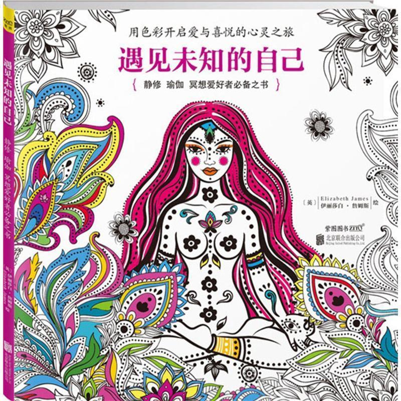 遇见未知的自己【好书，下单速发】