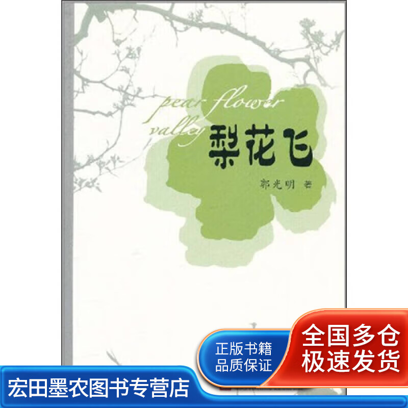 梨花飞【好书】