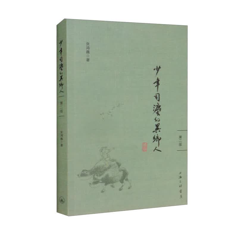 少年司法的异乡人（第二版）