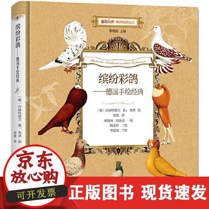 【现货】缤纷彩鸽——德国手绘经典
