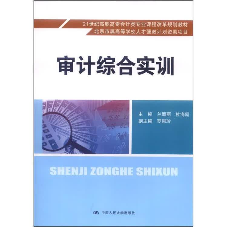 审计综合实训【好书】