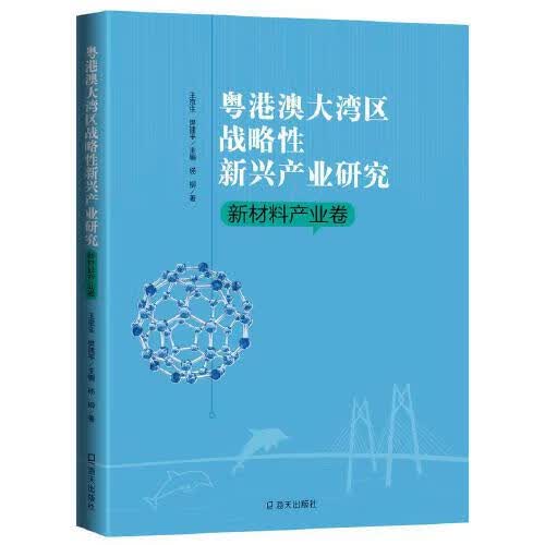粤港澳大湾区战略性新兴产业研究 物联网卷【现货】