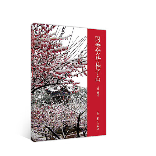 四季芳华桂子山【现货】