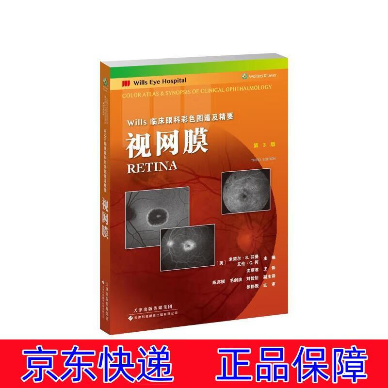 视网膜 医学眼科学丛书