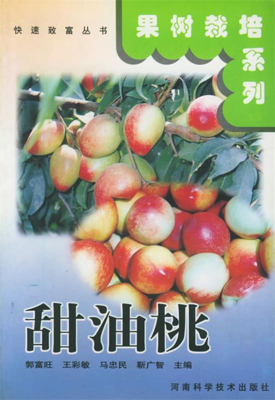 甜油桃
