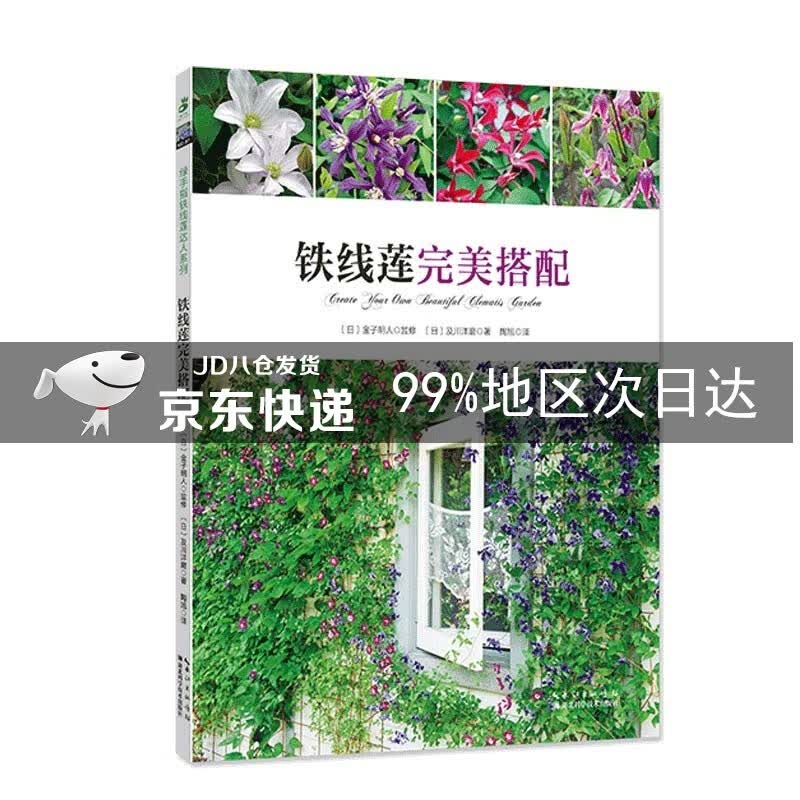 铁线莲完美搭配 铁线莲完美搭配