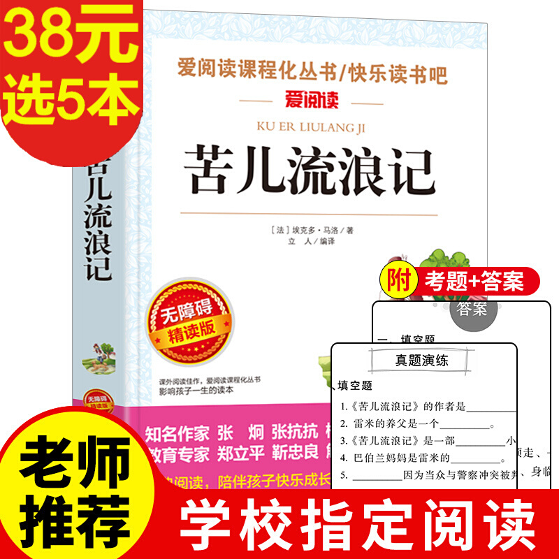 苦儿流浪记  小学生至初中适合阅读的课外书籍三四五六七年级必读名著老师经典读物青少年无障