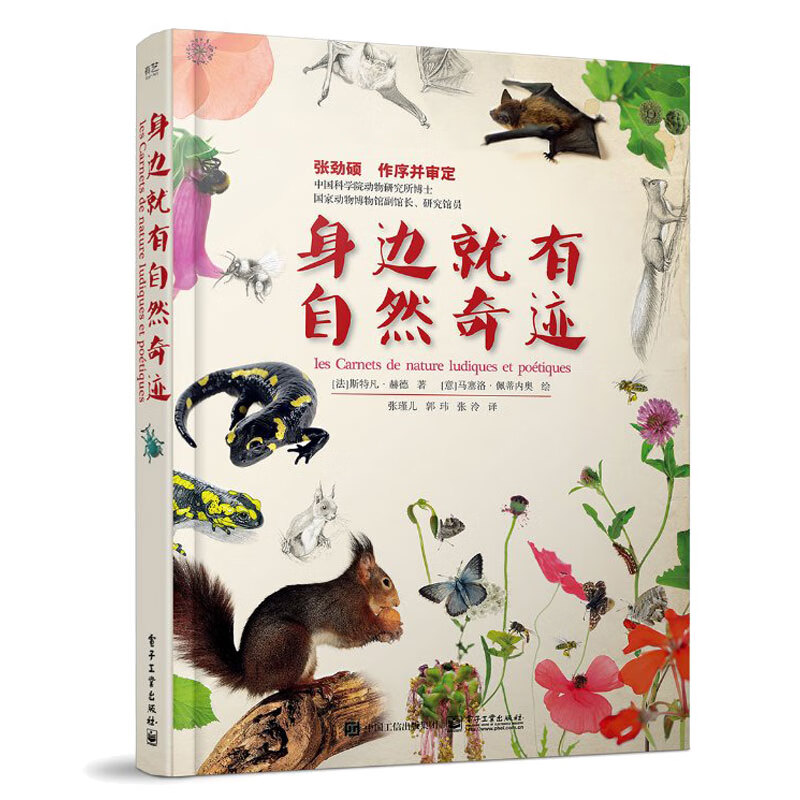身边就有自然奇迹 斯凡·赫德 电子工业出版社