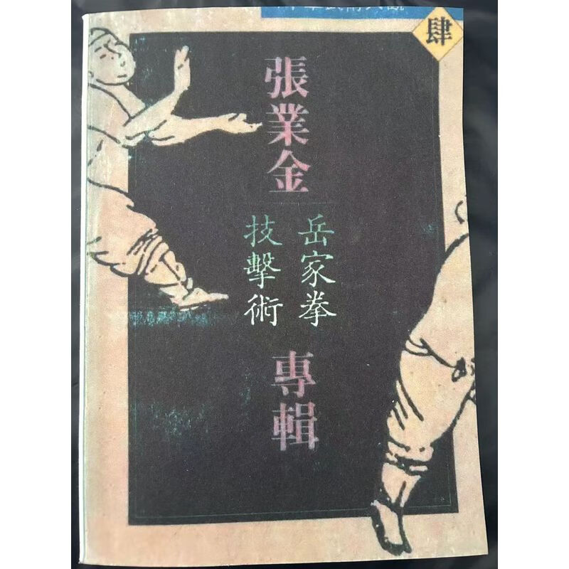 中华武术 岳家拳技击术 经典功法秘笈诀要 武学武功书 武术功夫书