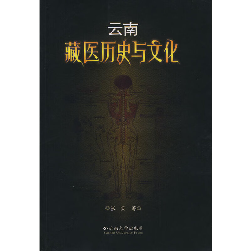 云南藏医药历史与文化9787811122671云南大学