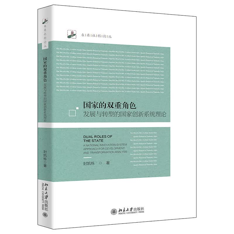 国家的双重角色：发展与转型的国家创新系统理论