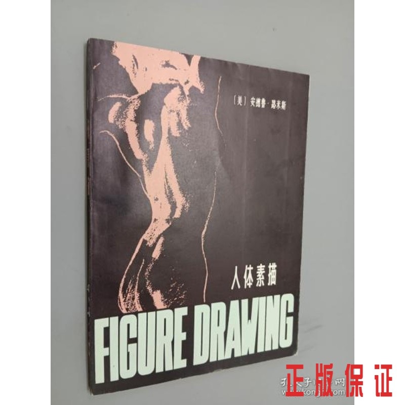 保证 可开发票！！人体素描