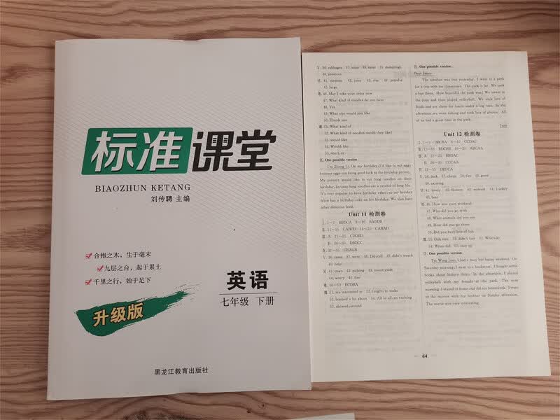 2023标准课堂 升级版 七年级下册 英语 下册 英语