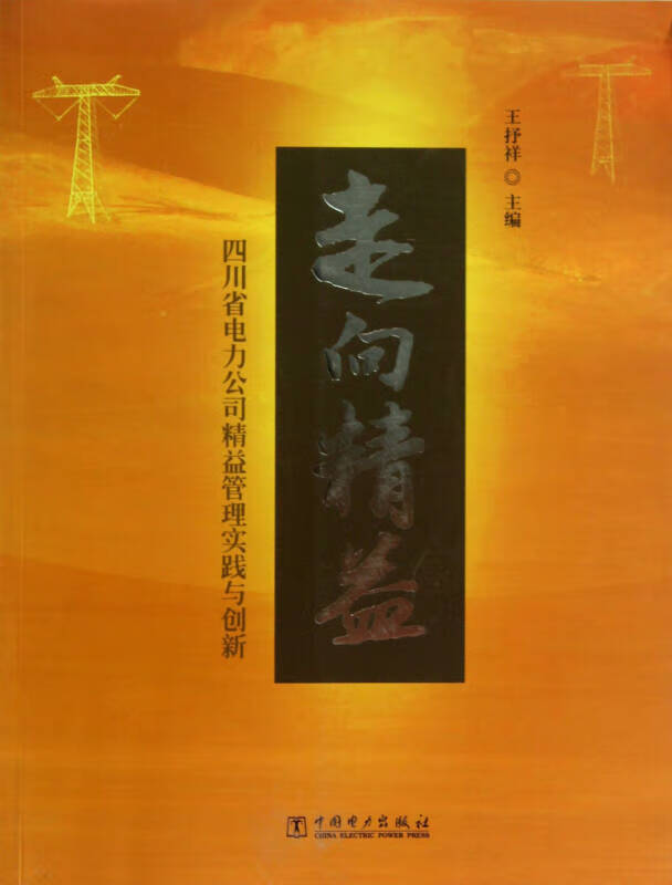 走向精益（四川省电力公司精益管理实践与创新）【好书】