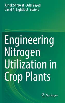 Engineering Nitrogen Utilization in Crop Plants