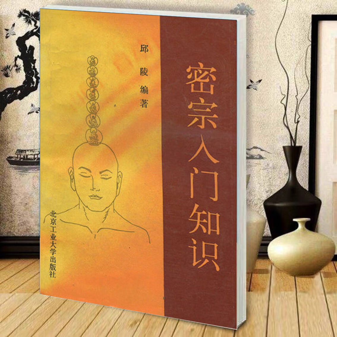 密宗入门知识 密宗 藏密大手印大乘要道密大日经金刚顶经