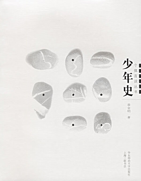 少年史 黄金明 著