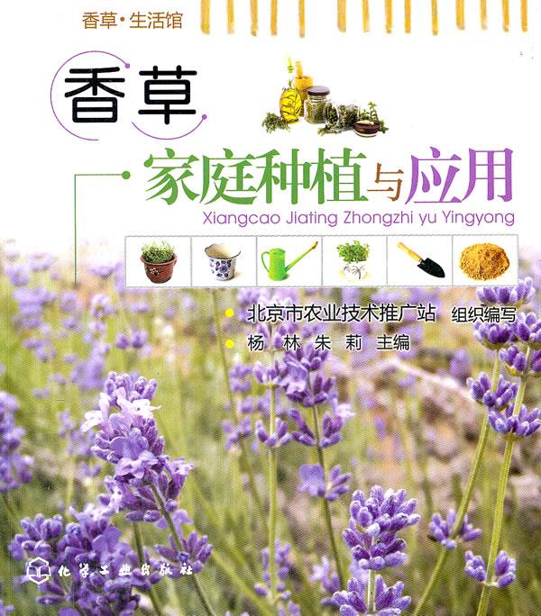 香草家庭种植与应用