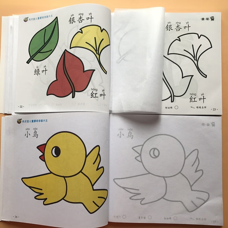 2-3-5-6岁宝宝涂色本全套9本幼儿园小班中班大班学画人物动物植物汽车蒙纸涂鸦幼儿童学画画描画本涂色书临摹填充色书小孩绘画启蒙 蒙纸学画全2册动物+植物送12色油画棒