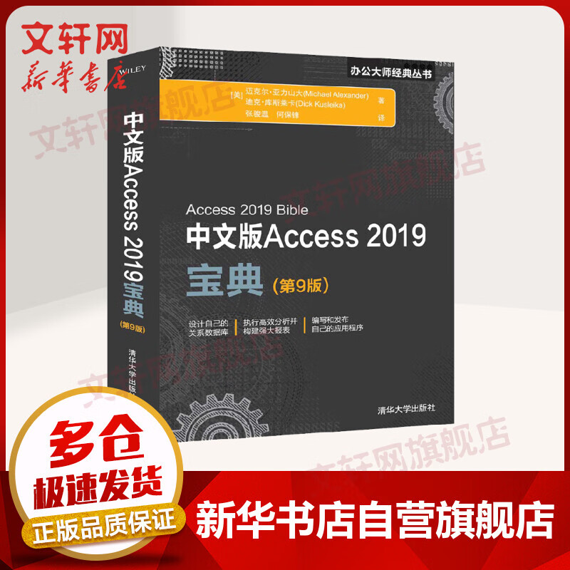 中文版Access 2019宝典 第9版