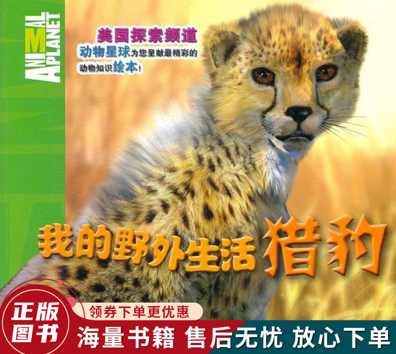 我的野外生活：猎豹